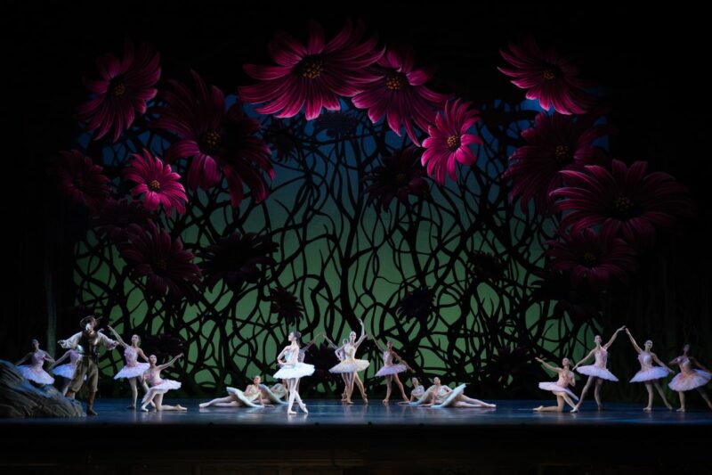 Celebrating Our 2023 Summer Performances - The Royal Ballet School