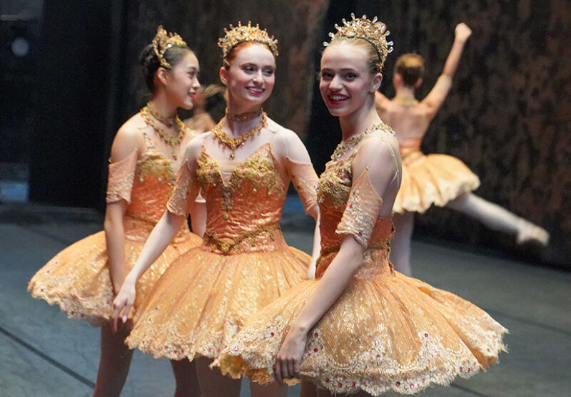 Amis américains de l'École royale de ballet - L'École royale de ballet